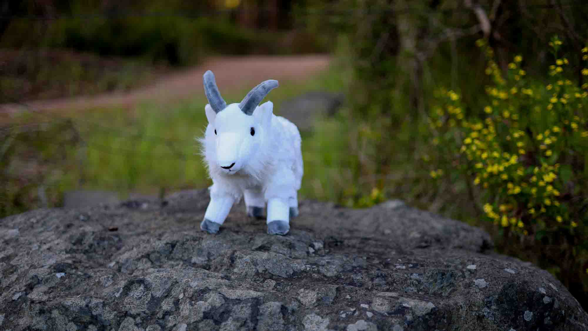 Goats and Friends - send your friends goats and farmyard animals